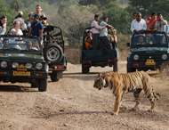 Rajasthan Tourism Development Corporation